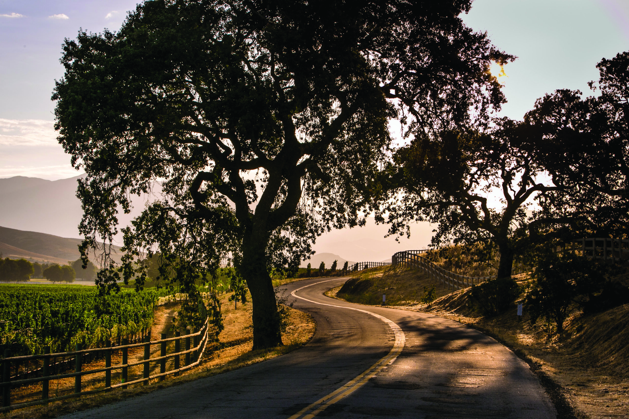 Santa Ynez Valley Rivals Wine Country - Marin Magazine