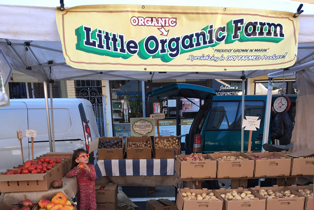 Meet the Farmer: David Little of Little Organic Farm - Marin Magazine