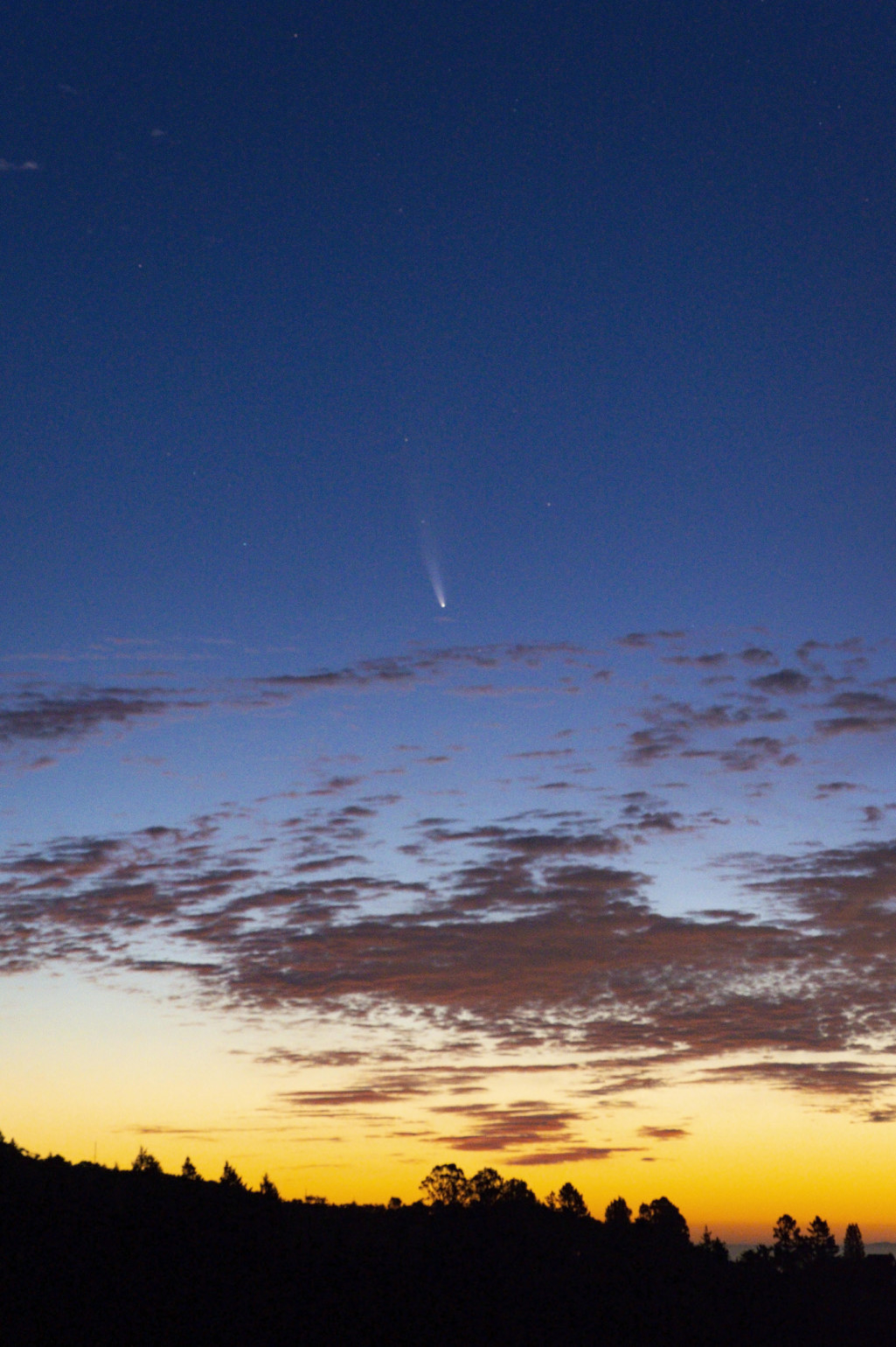 Comet NEOWISE Is Passing Over the Bay Area - Marin Magazine