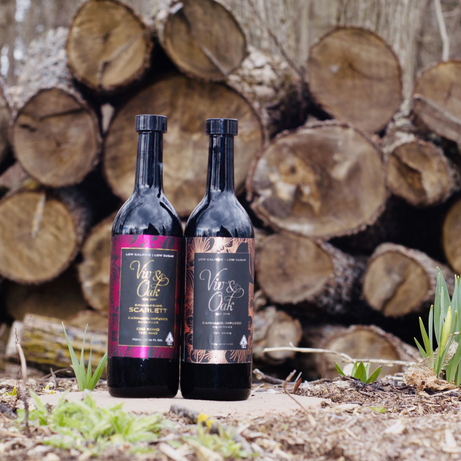 The Best Cannabis Cocktails to Enjoy This Summer - Marin Magazine