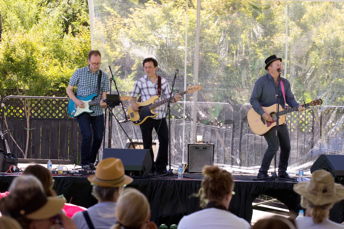 Why We Love Larkspur: Everything You Ever Wanted to Know About This ...