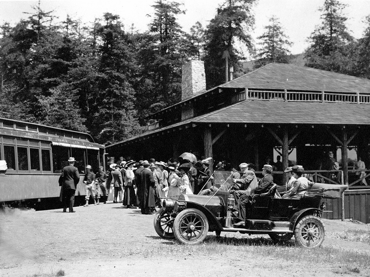 Muir Woods: From Roosevelt to Today’s Debate - Marin Magazine