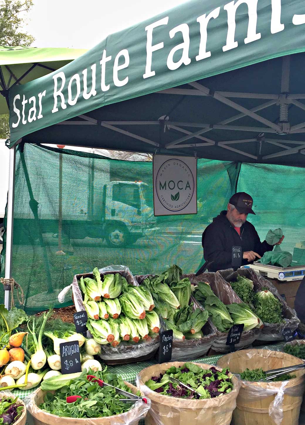 Meet the Farmer: Annabelle Lenderink of Star Route Farms - Marin Magazine