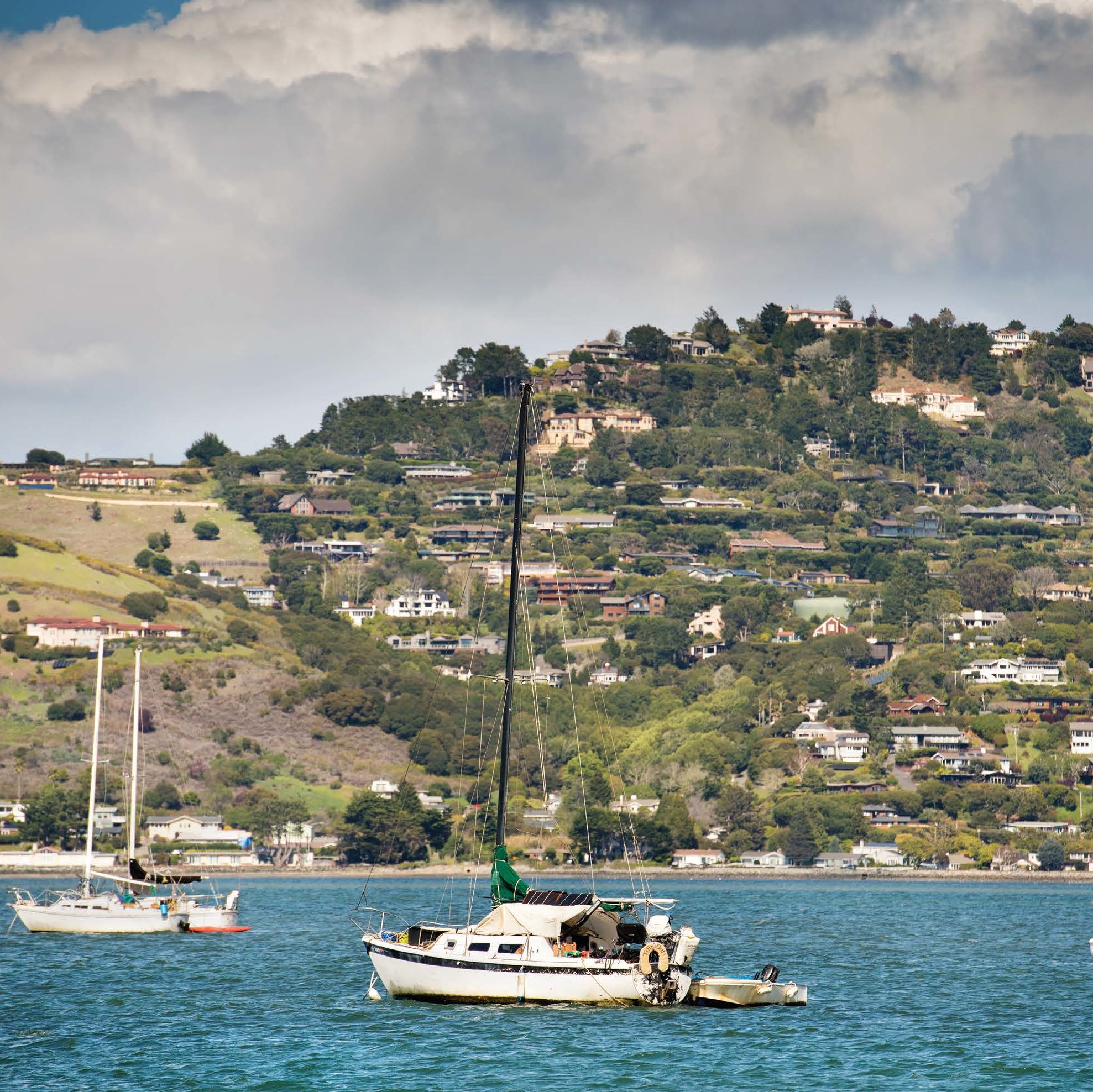 Tensions Rise in Richardson Bay - Marin Magazine